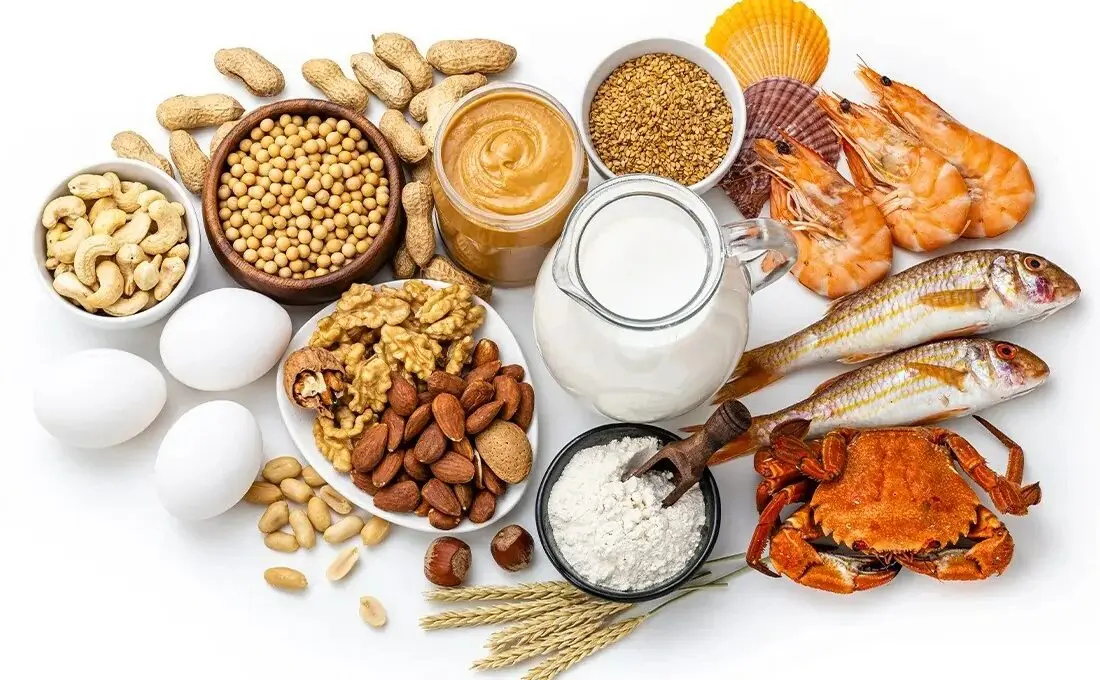 PEAL in Plain English: Effortless Allergen Labelling | printDATA