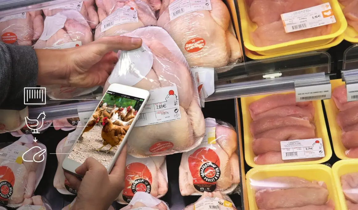 Food Traceability: What and How | printDATA